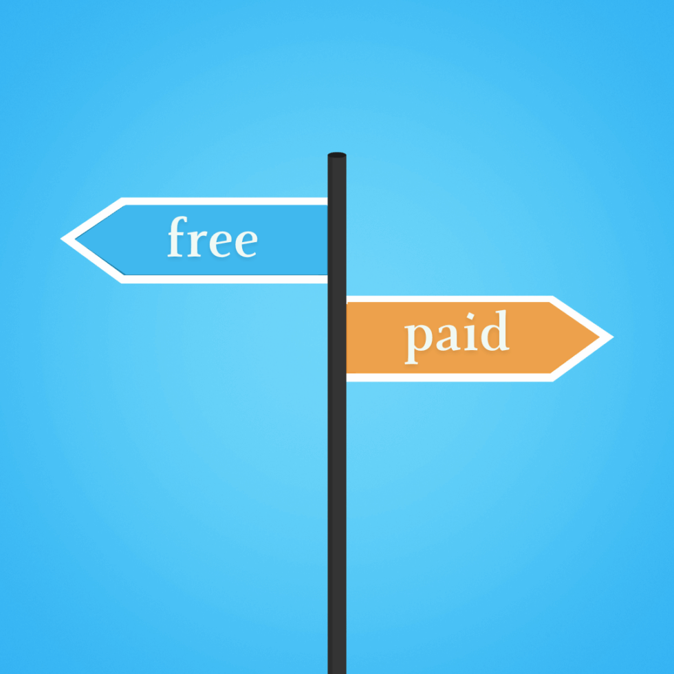 Comparing Free vs. Paid BigCommerce Themes: Which is Right for You? - A ...