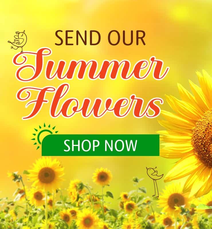 Summer Banners - A Professional Web Design and Online Marketing Agency